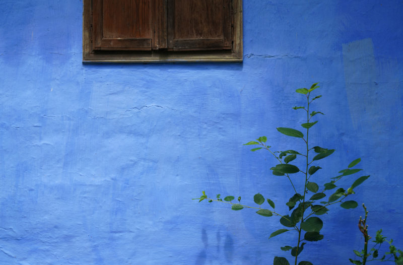 Albastru – Albastrul meu