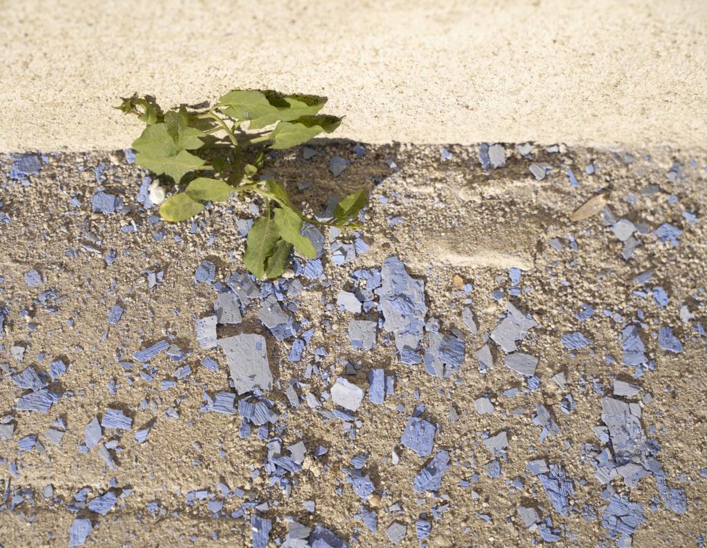 Cum ai grijă de o casă cu arhitectură tradiţională – Albastru