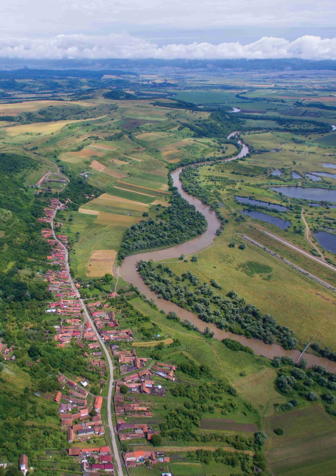 Perete proaspat vopsit – Albastru